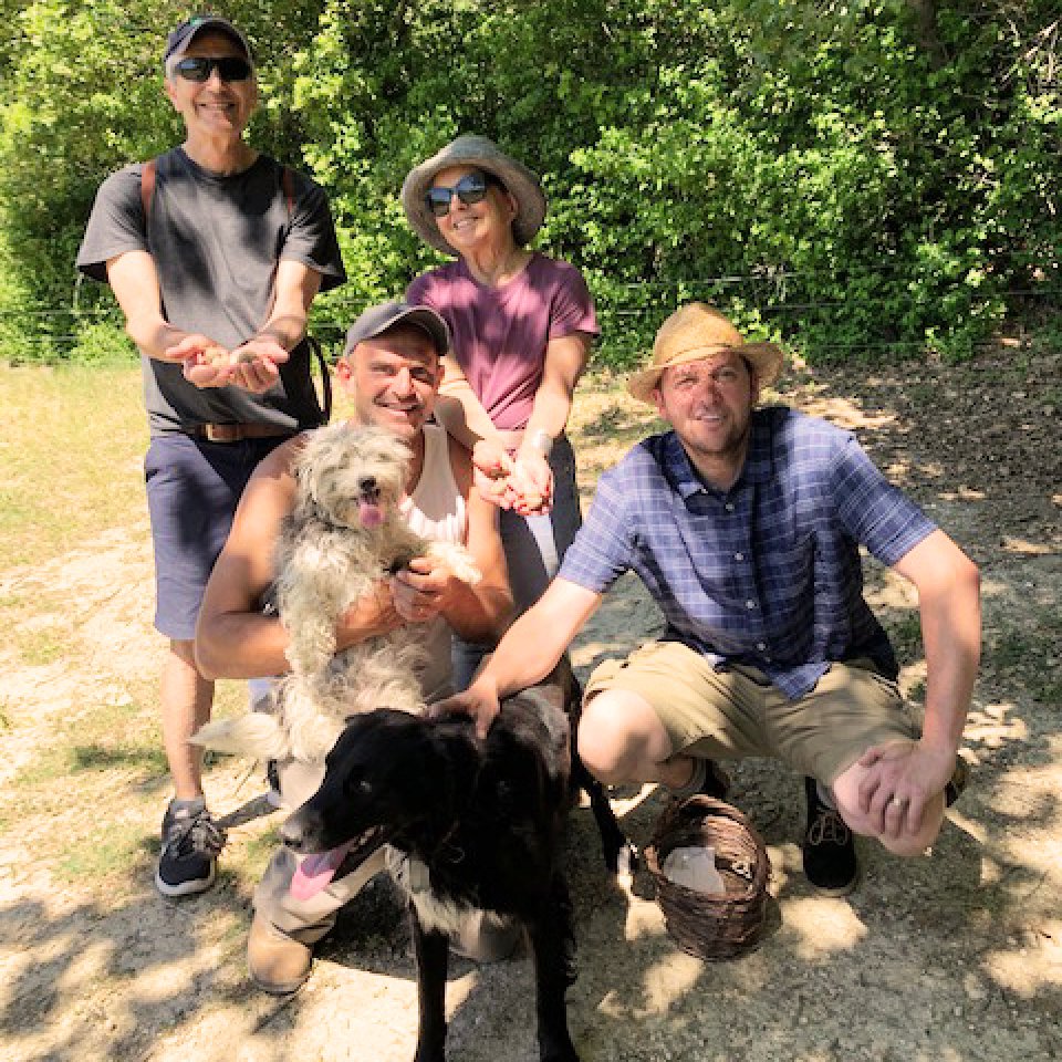 France Tour Packages - Trips to France 2025 | France Just For You